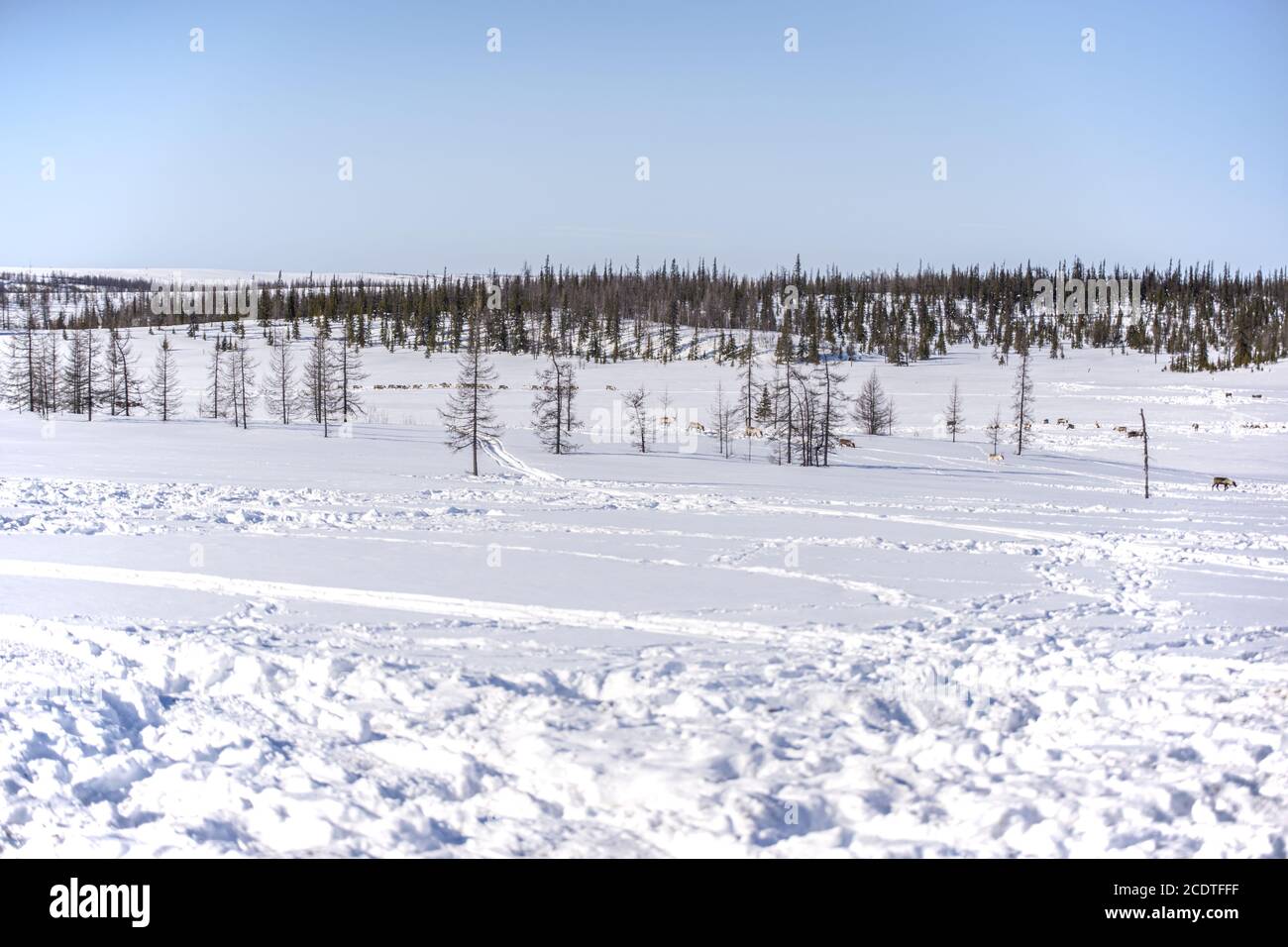 Russian yurt landscape hi-res stock photography and images - Alamy