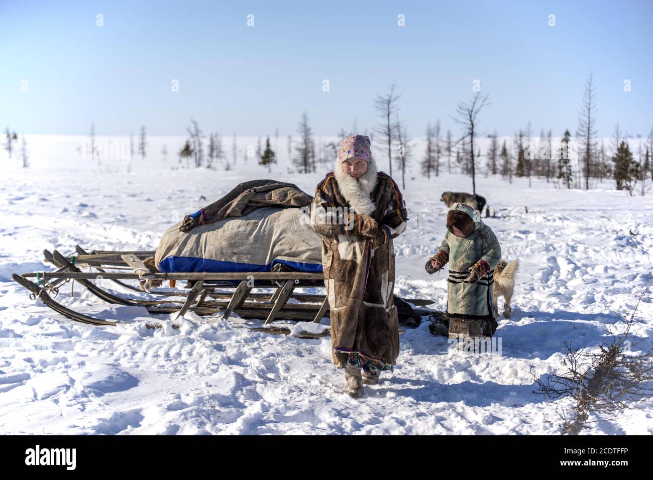 Small wooden sleigh hi-res stock photography and images - Alamy