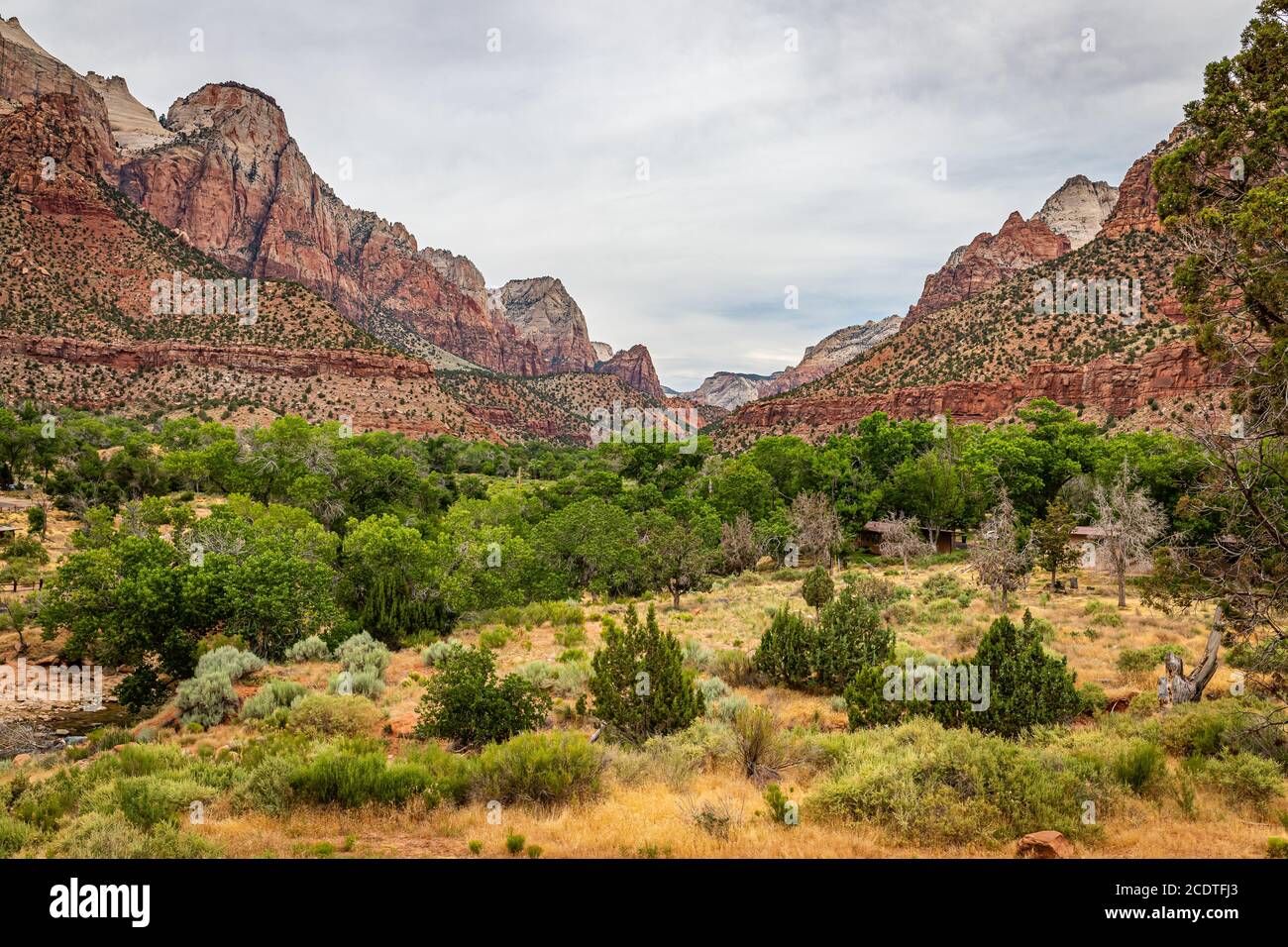 The Watchman Trail is a three mile round trip trail ending at the ...