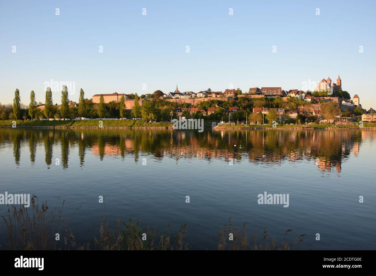 Rhine and Breisach Minster Stock Photo - Alamy