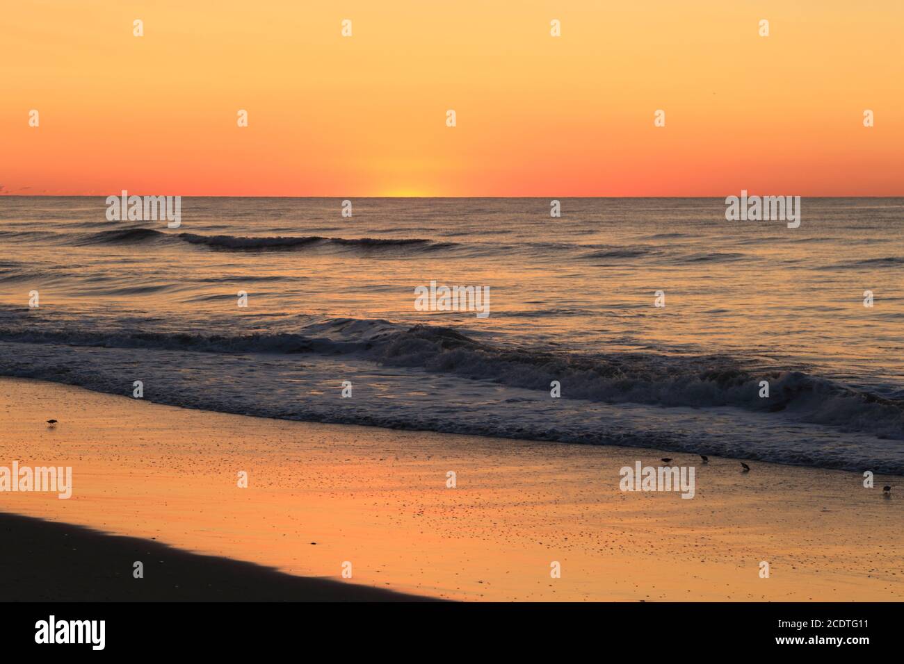 The orange glow of the sun beginning to rise over the Atlantic Ocean in ...