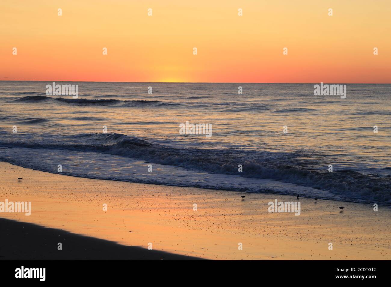 Avalon Nj High Resolution Stock Photography and Images - Alamy