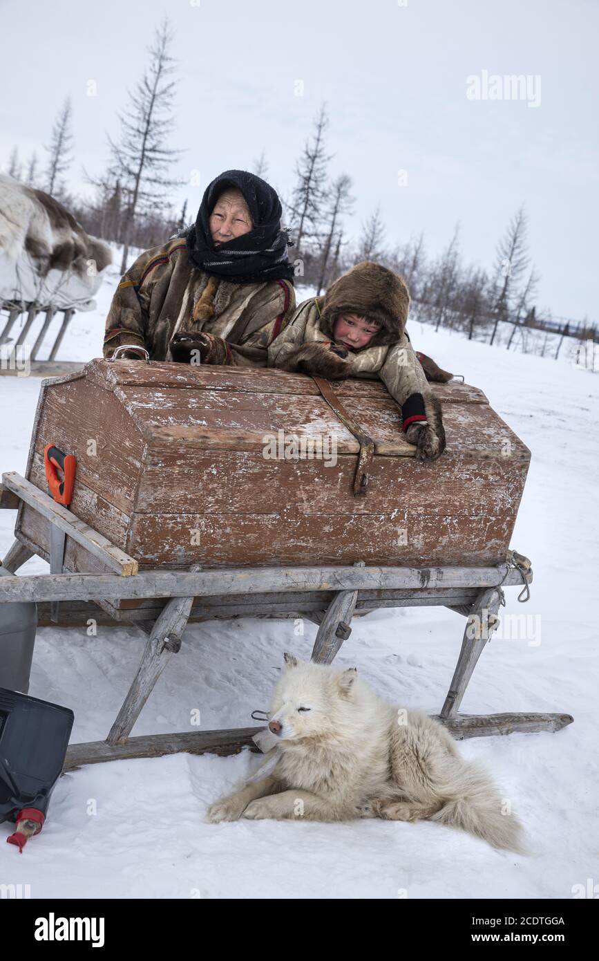 A young Nenet boy and his grandmother on a wooden trunk on a sled ...