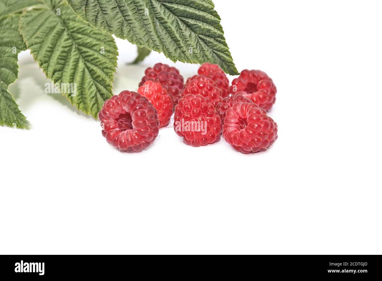 Red fresh raspberry with green leaves isolated on white background ...