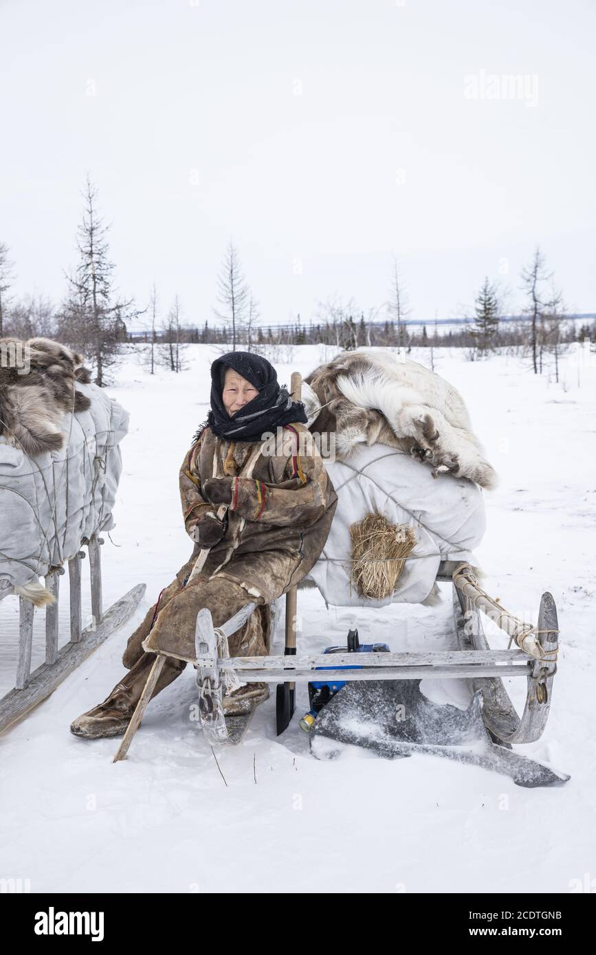 A Nenet old woman with sleds in a snowy tundra, Yamalo-Nenets ...