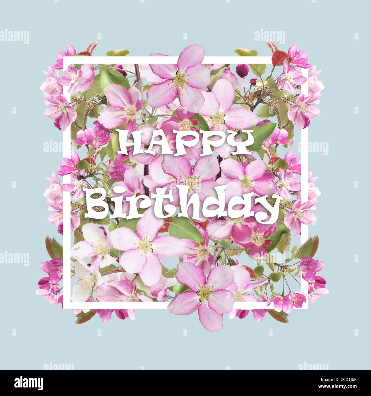 Floral Spring rectangular frame with Cherry Blossom Flowers Stock Photo ...