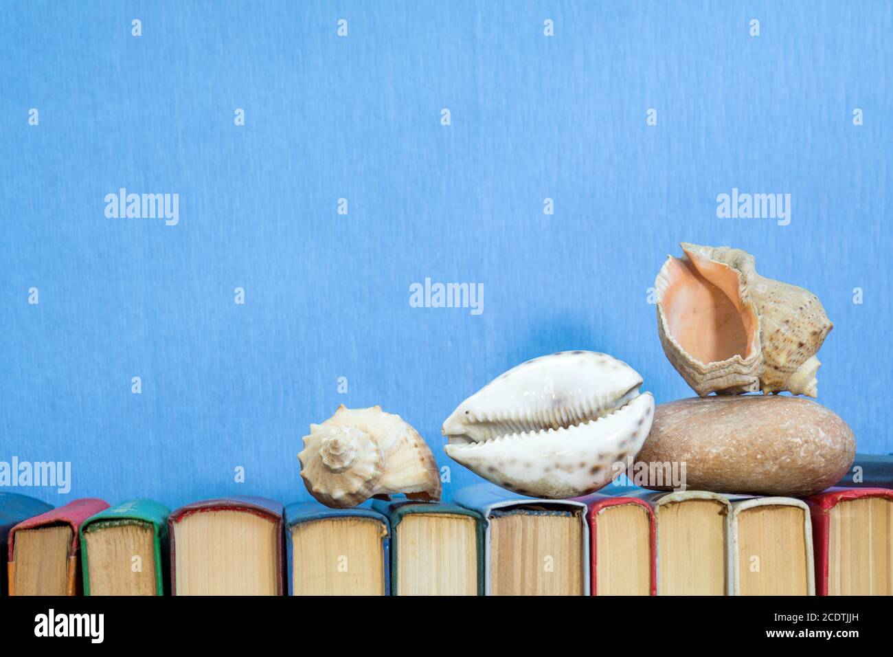 Sea shells and stones on multicolored books at light blue background ...