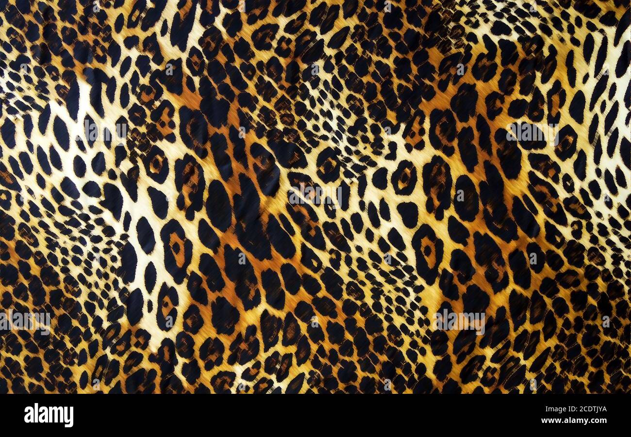 leopard skin pattern Stock Photo - Alamy