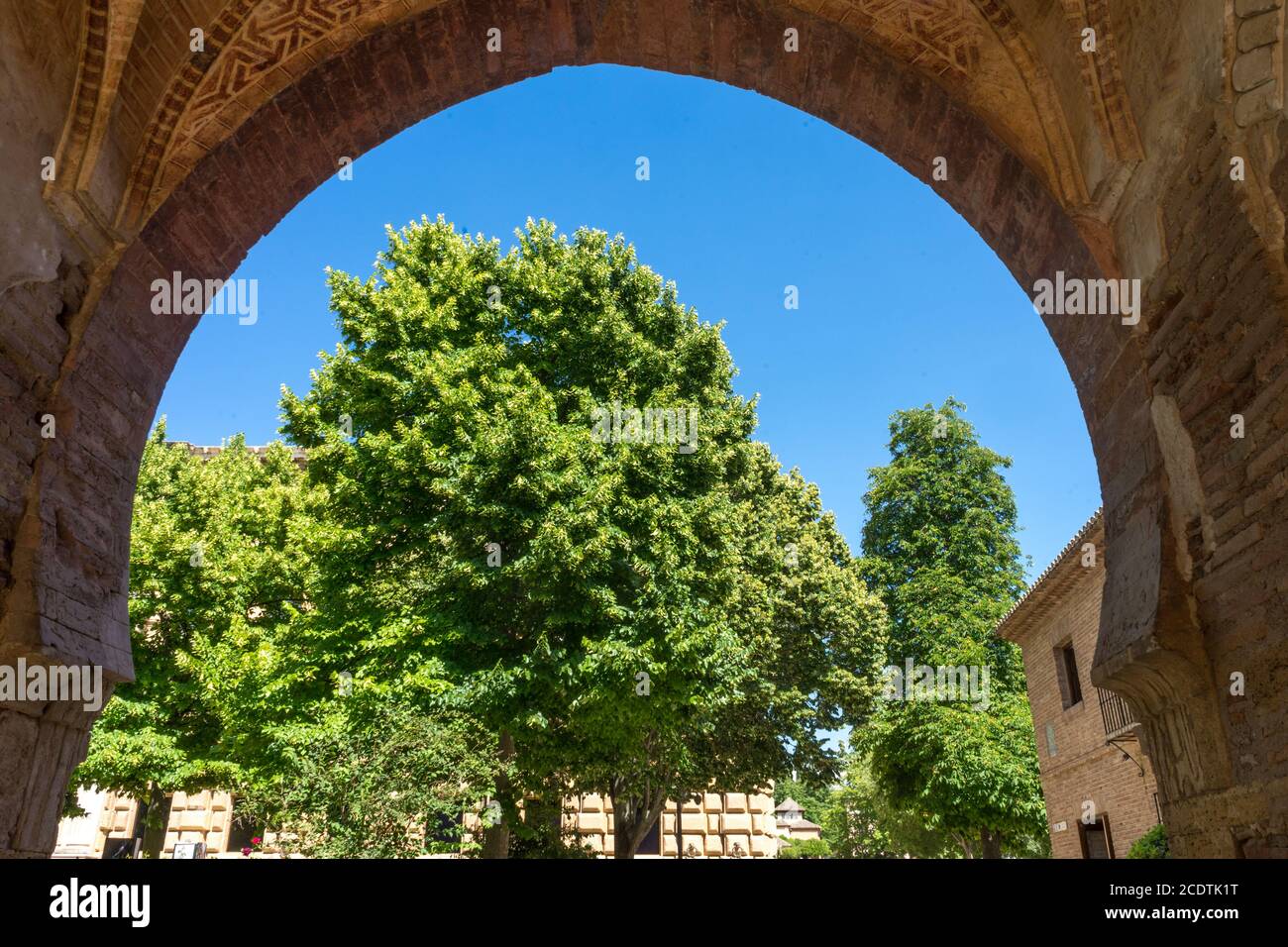 Tree viewed through an Arch at the Alhambra Palace in Granada, Spain ...