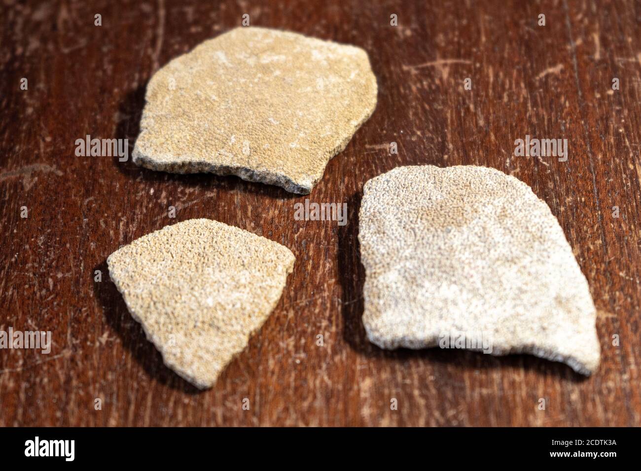 fossilized dinosaur eggshell Stock Photo - Alamy