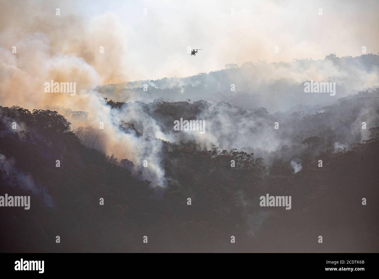 Bush fire in Australia at Ku ring Gai national park,Sydney Stock Photo ...