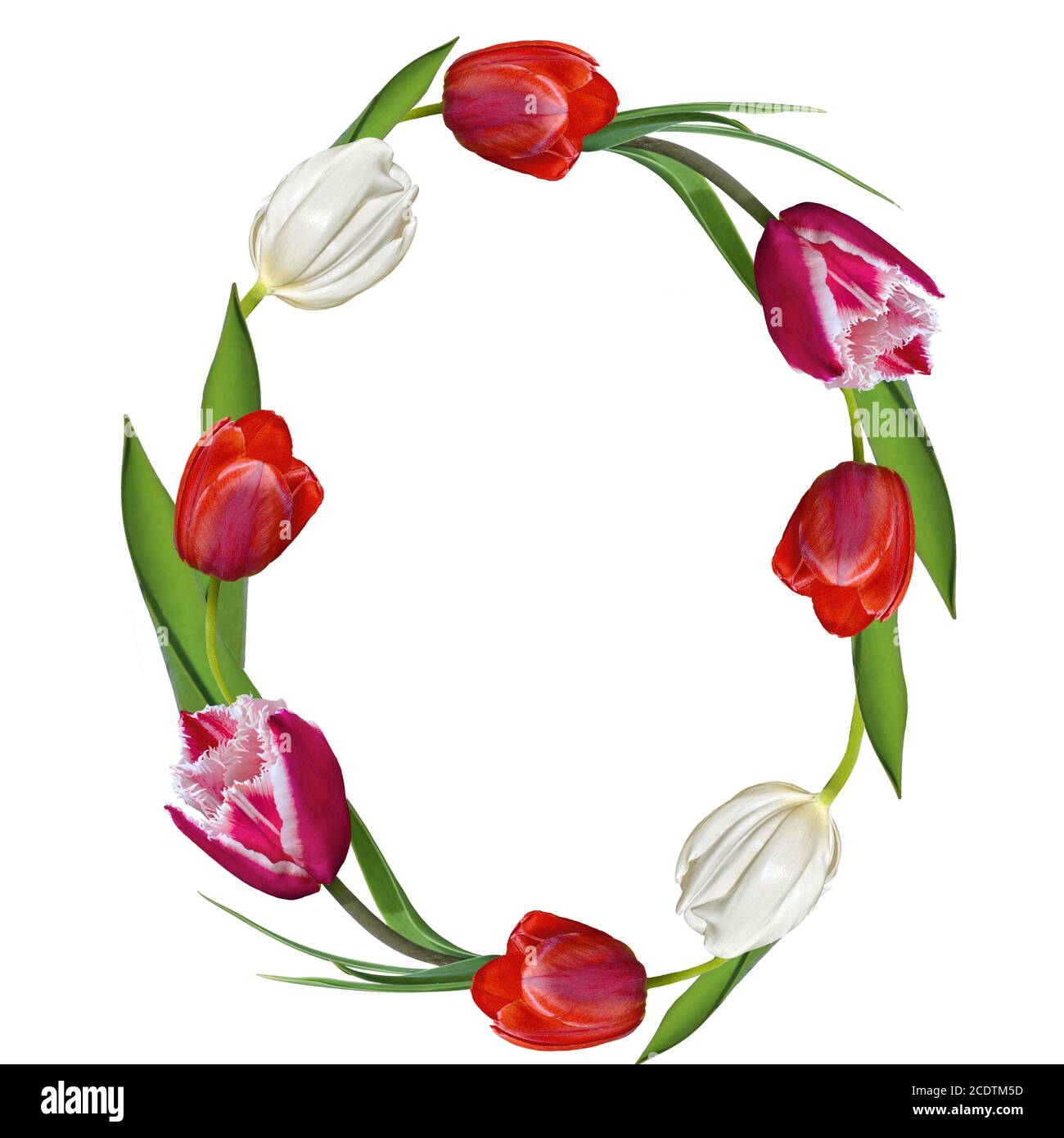 Circle festive tulip flowers frame on a white background isolated Stock ...