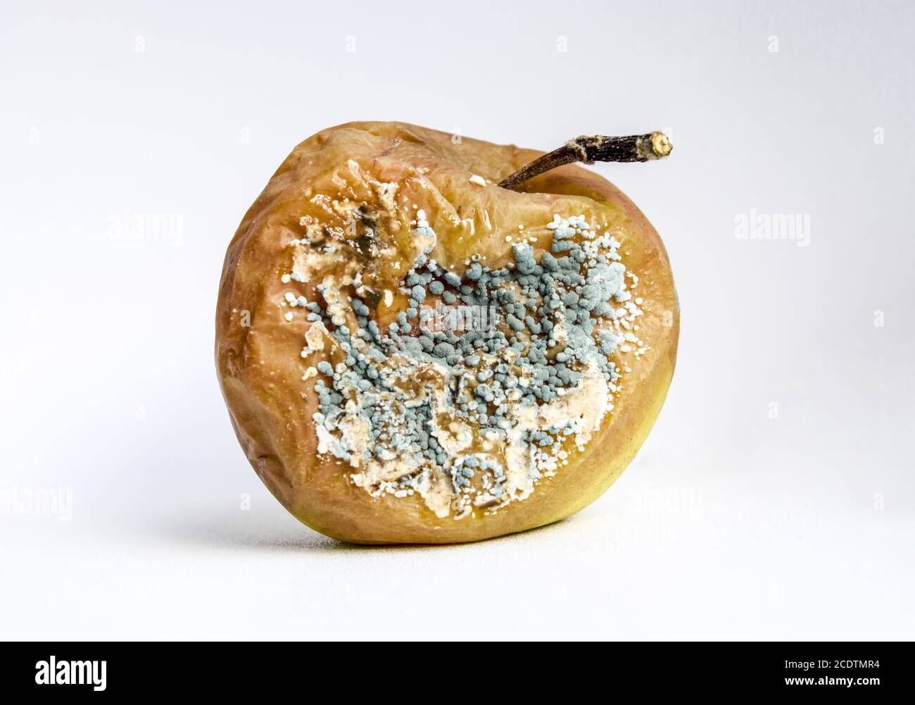 Moldy apple hi-res stock photography and images - Alamy