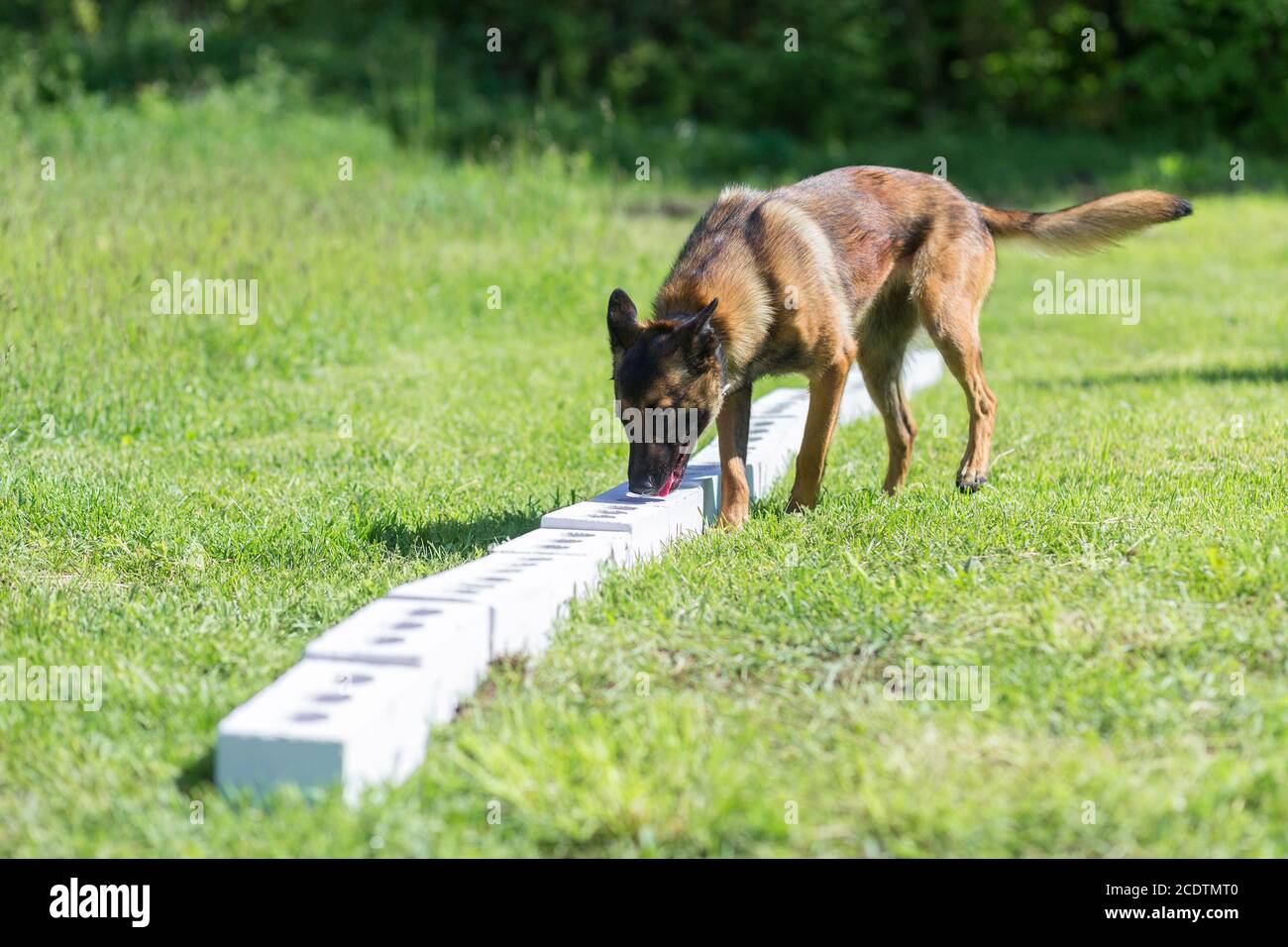 Find and treat service hi-res stock photography and images - Alamy