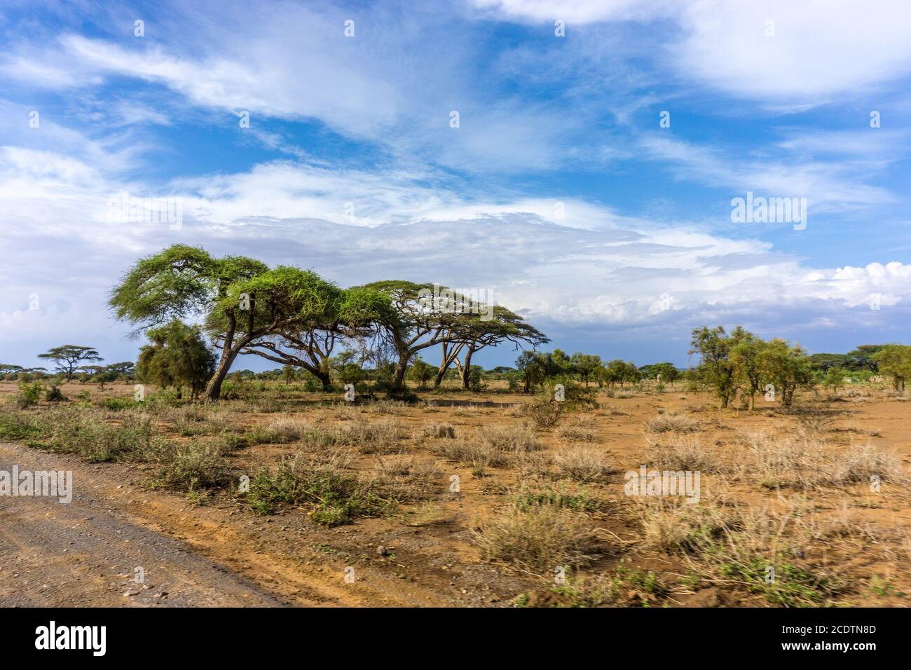 Landscape in Kenya Stock Photo - Alamy