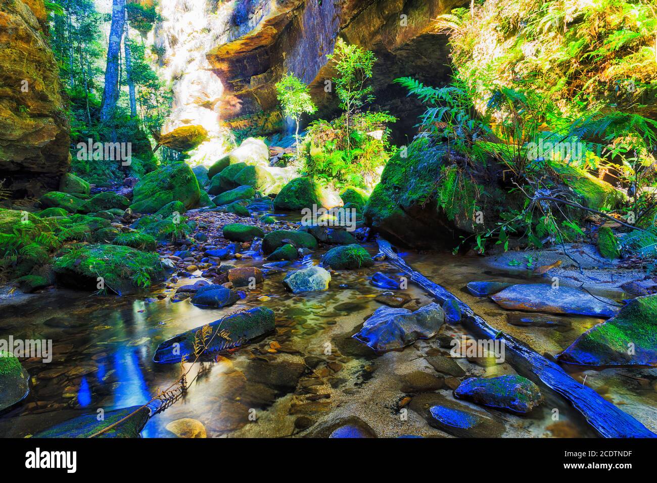 Deep canyon in the Blue MOuntains national park of Australia on a sunny ...