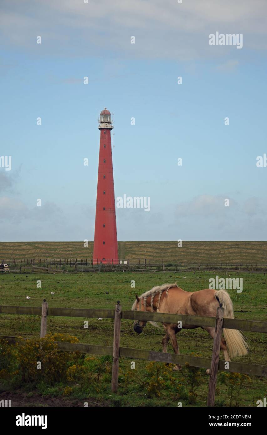 Horse at the lighthouse of Den Helder Stock Photo - Alamy