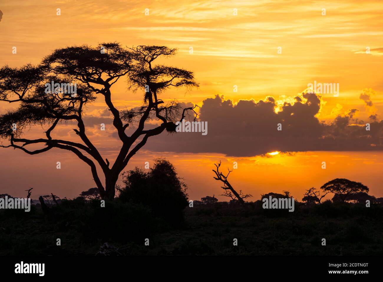 Beautiful sunset hi-res stock photography and images - Alamy