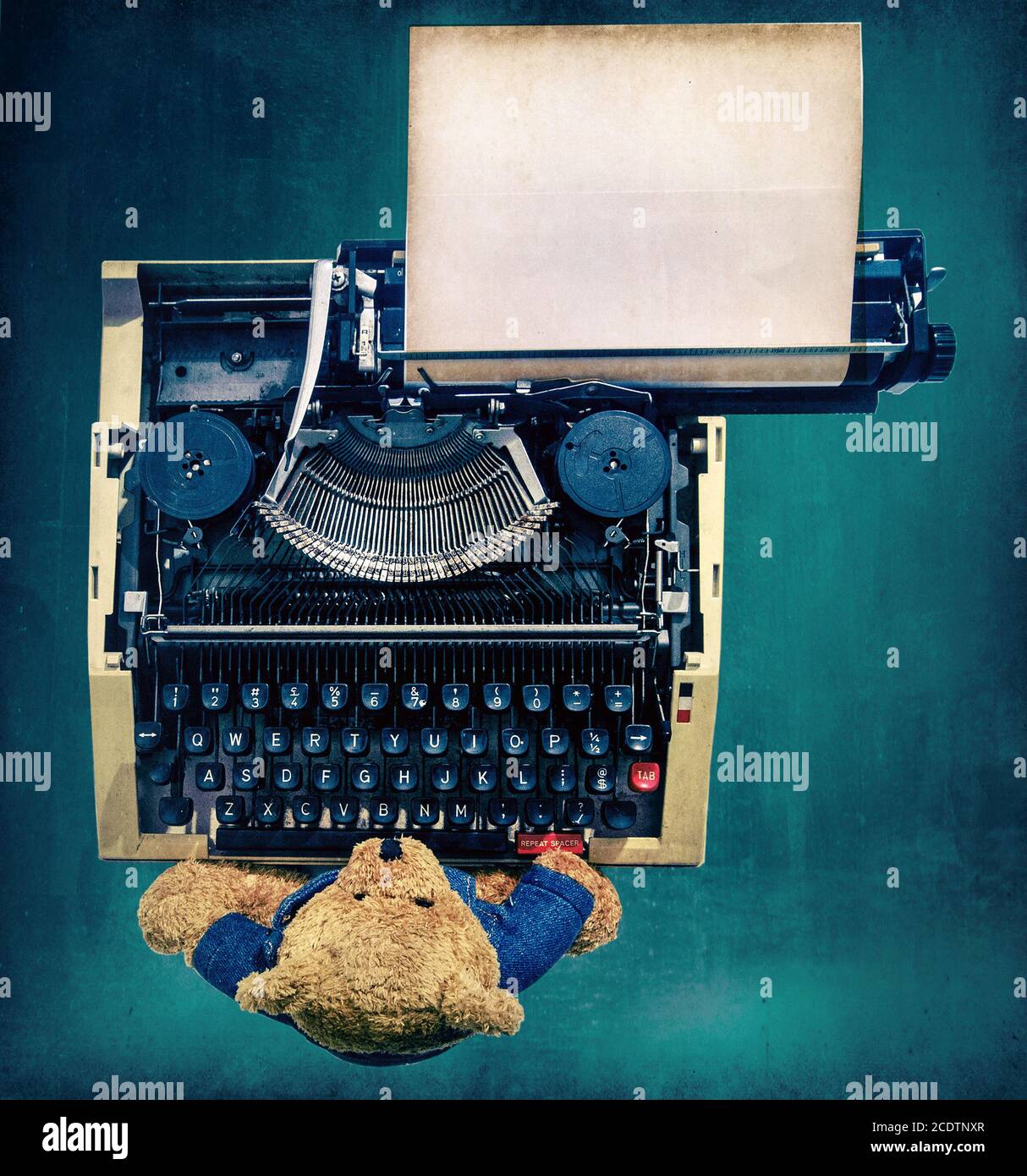 Old bear hi-res stock photography and images - Alamy