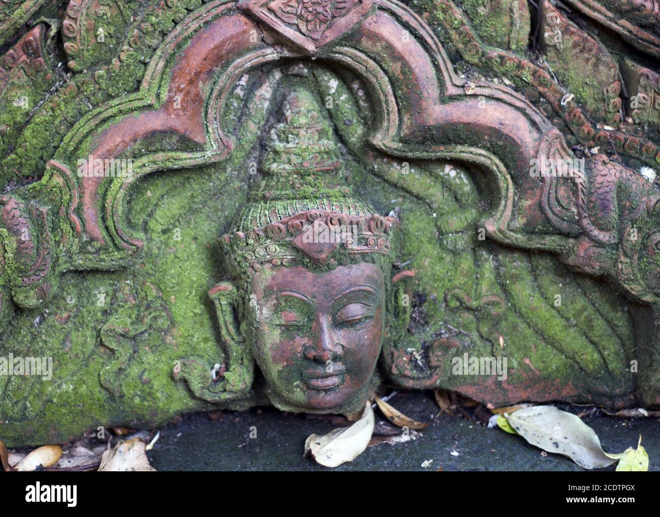 Buddha with moss hi-res stock photography and images - Alamy
