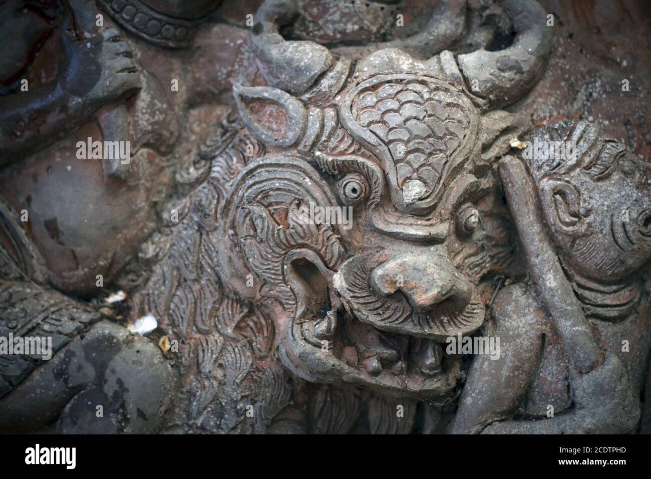 Indian moss hi-res stock photography and images - Alamy