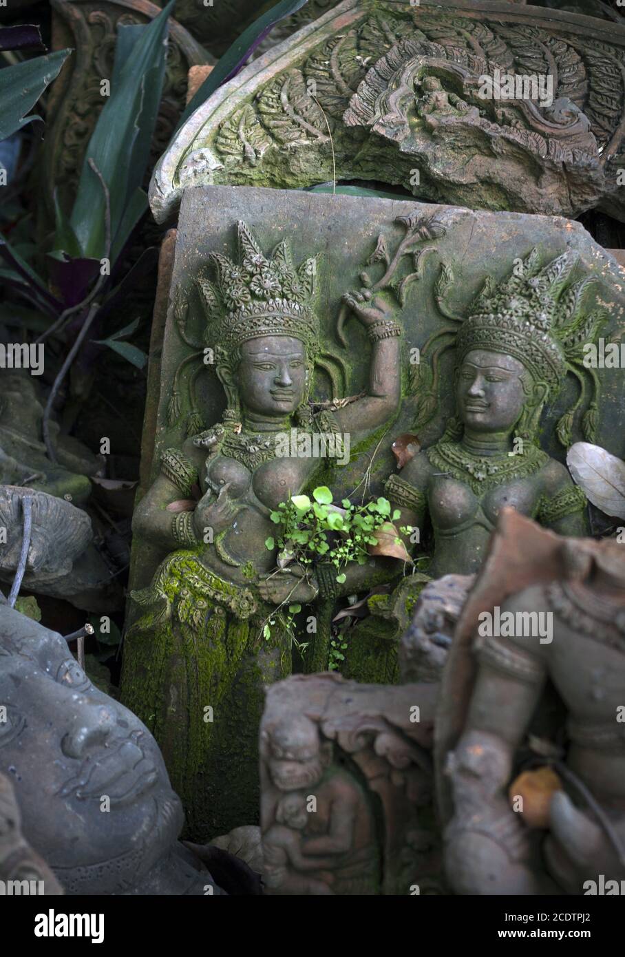 gods and moss Stock Photo - Alamy