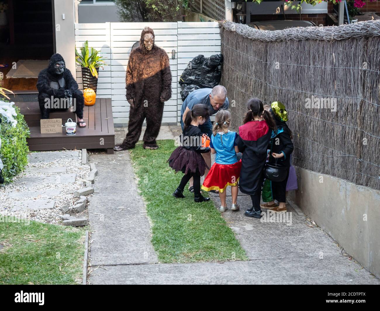 Sydney northern beaches area hi-res stock photography and images - Alamy