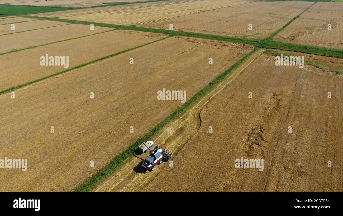 Harvesting barley harvesters. Fields of wheat and barley, the work of ...