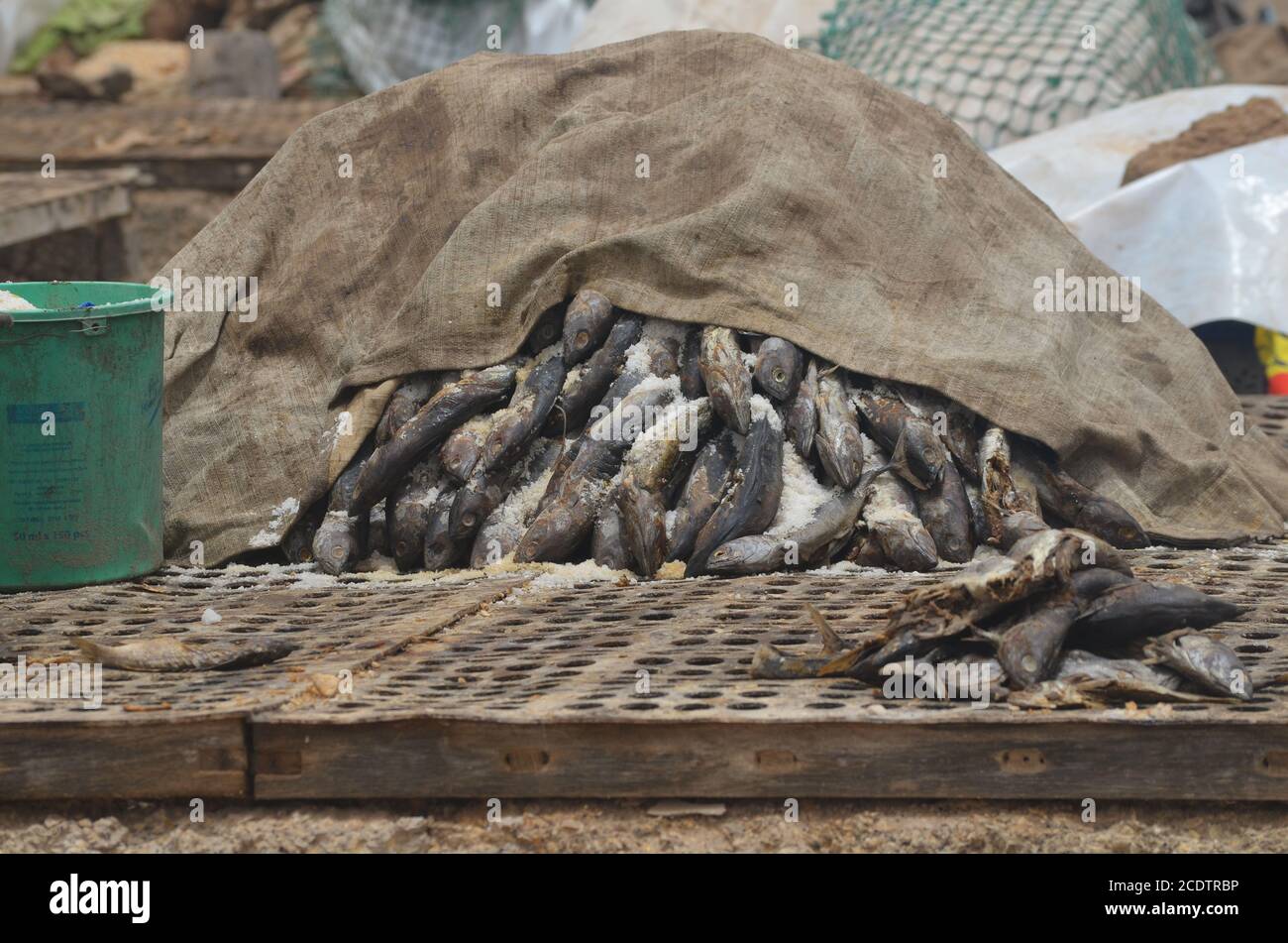 Racks of sun-dried (guédj), salted and/or smoked fish (kétiakh) in ...