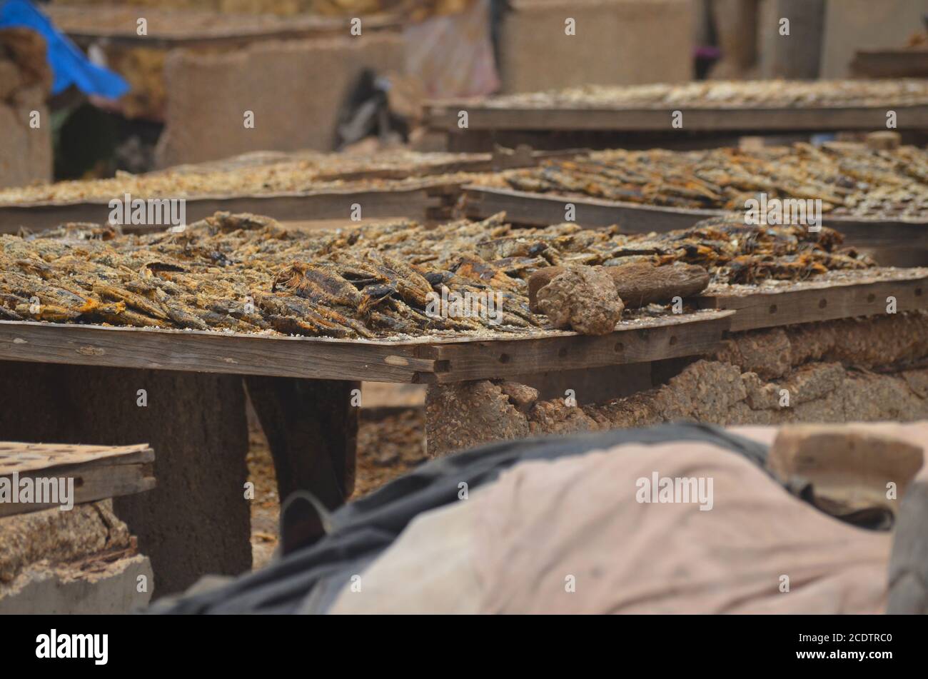 Racks of sun-dried (guédj), salted and/or smoked fish (kétiakh) in ...