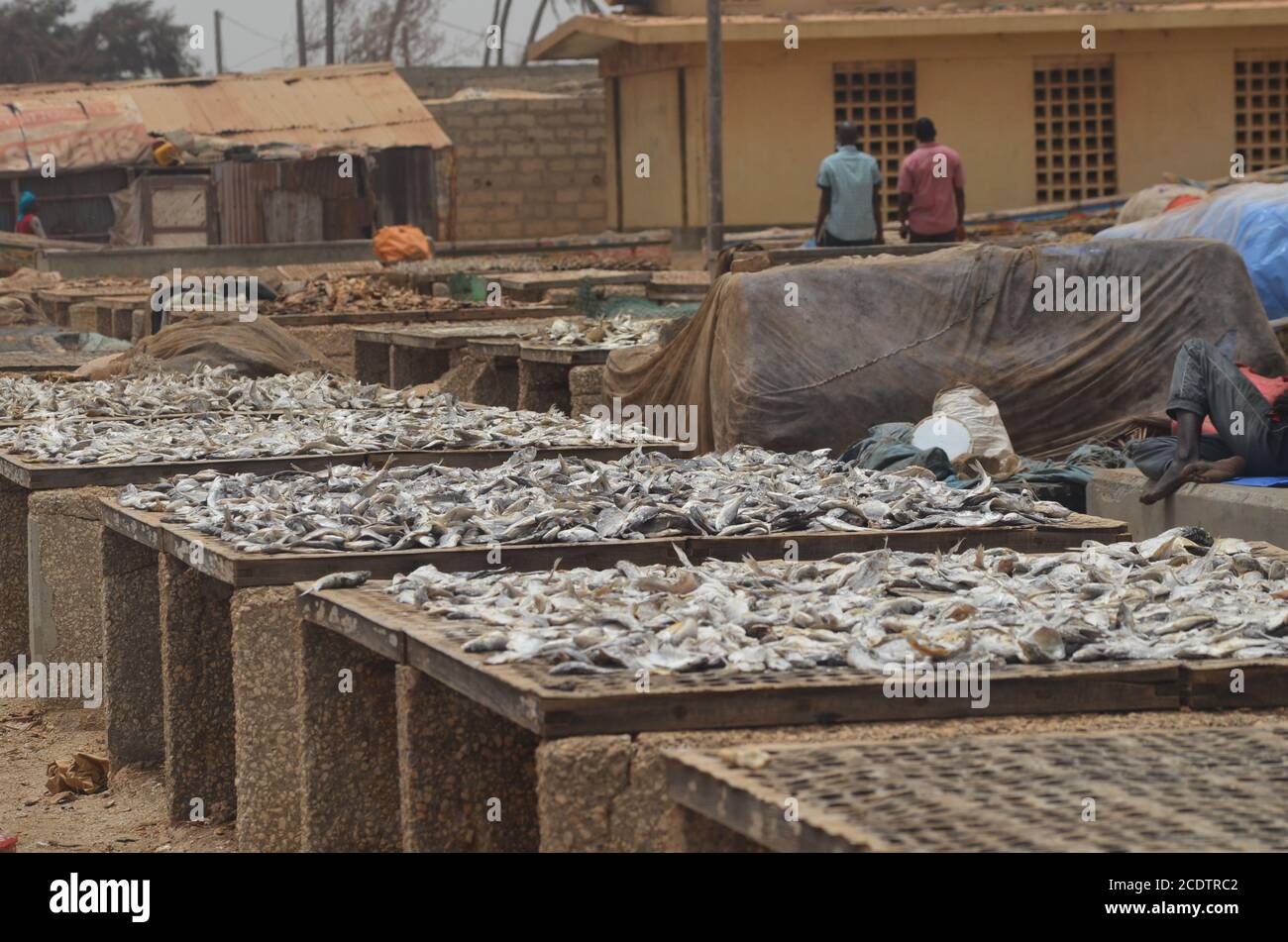 Racks of sun-dried (guédj), salted and/or smoked fish (kétiakh) in ...