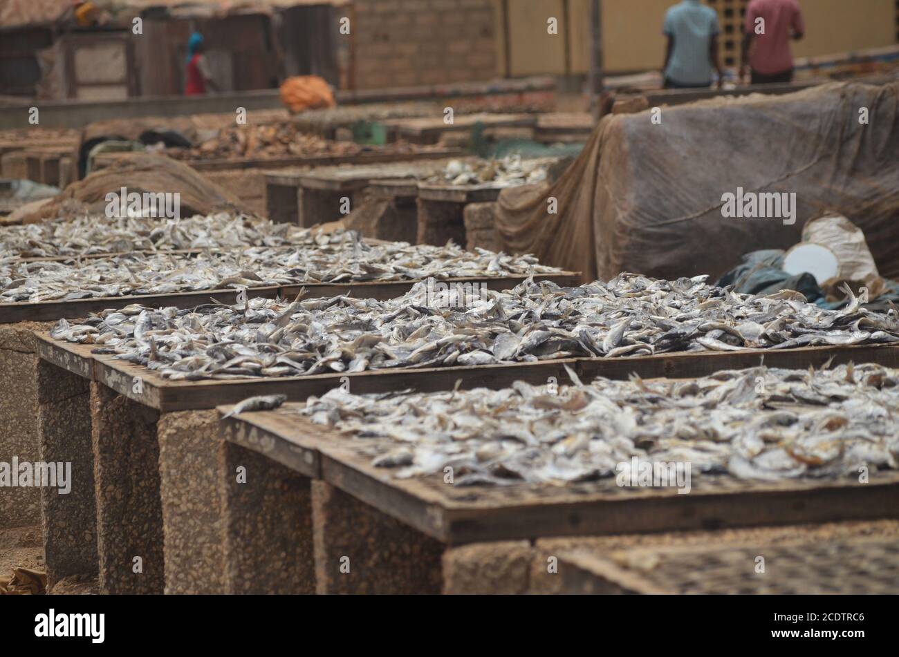 Racks of sun-dried (guédj), salted and/or smoked fish (kétiakh) in ...