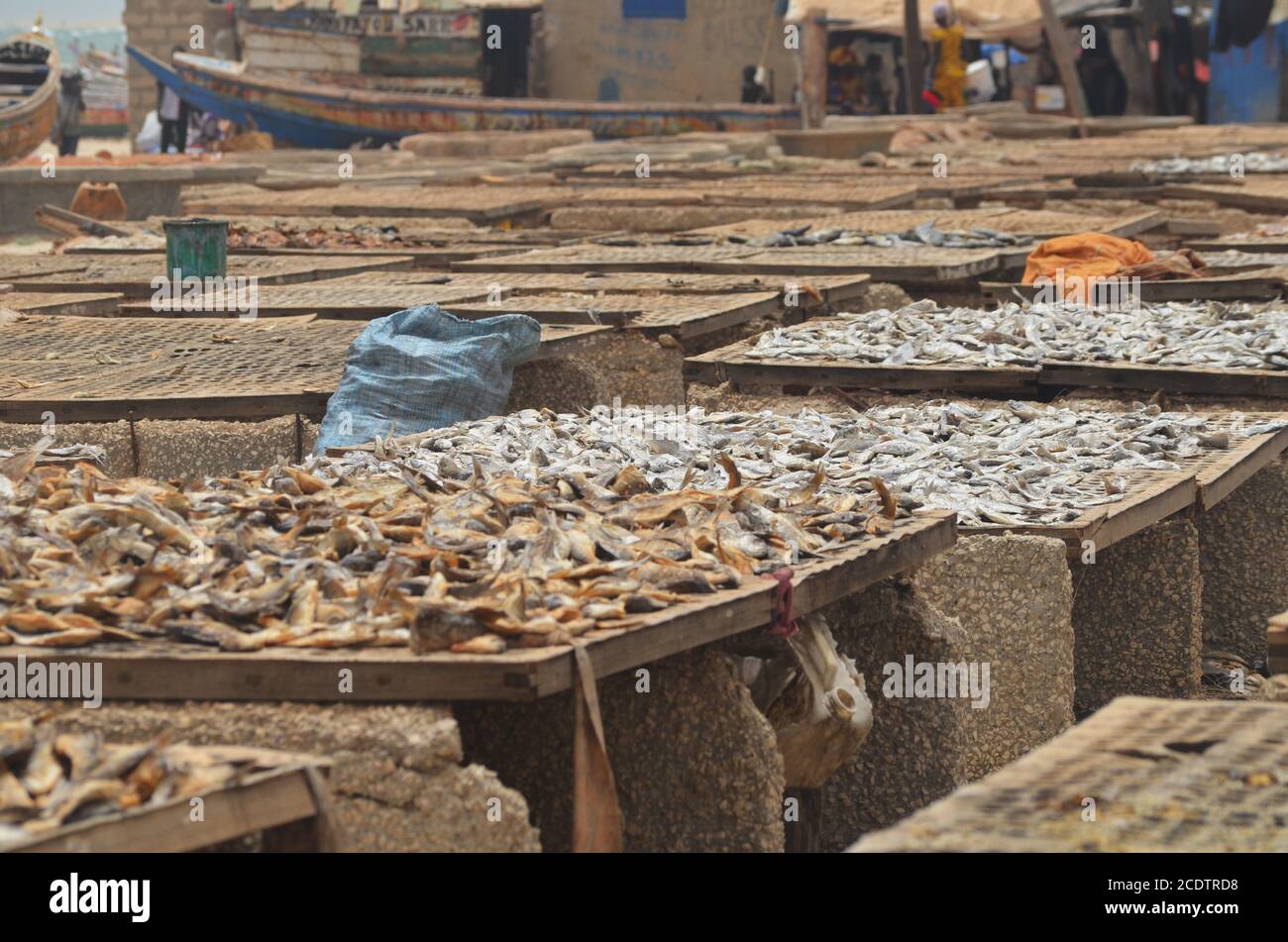 Racks of sun-dried (guédj), salted and/or smoked fish (kétiakh) in ...