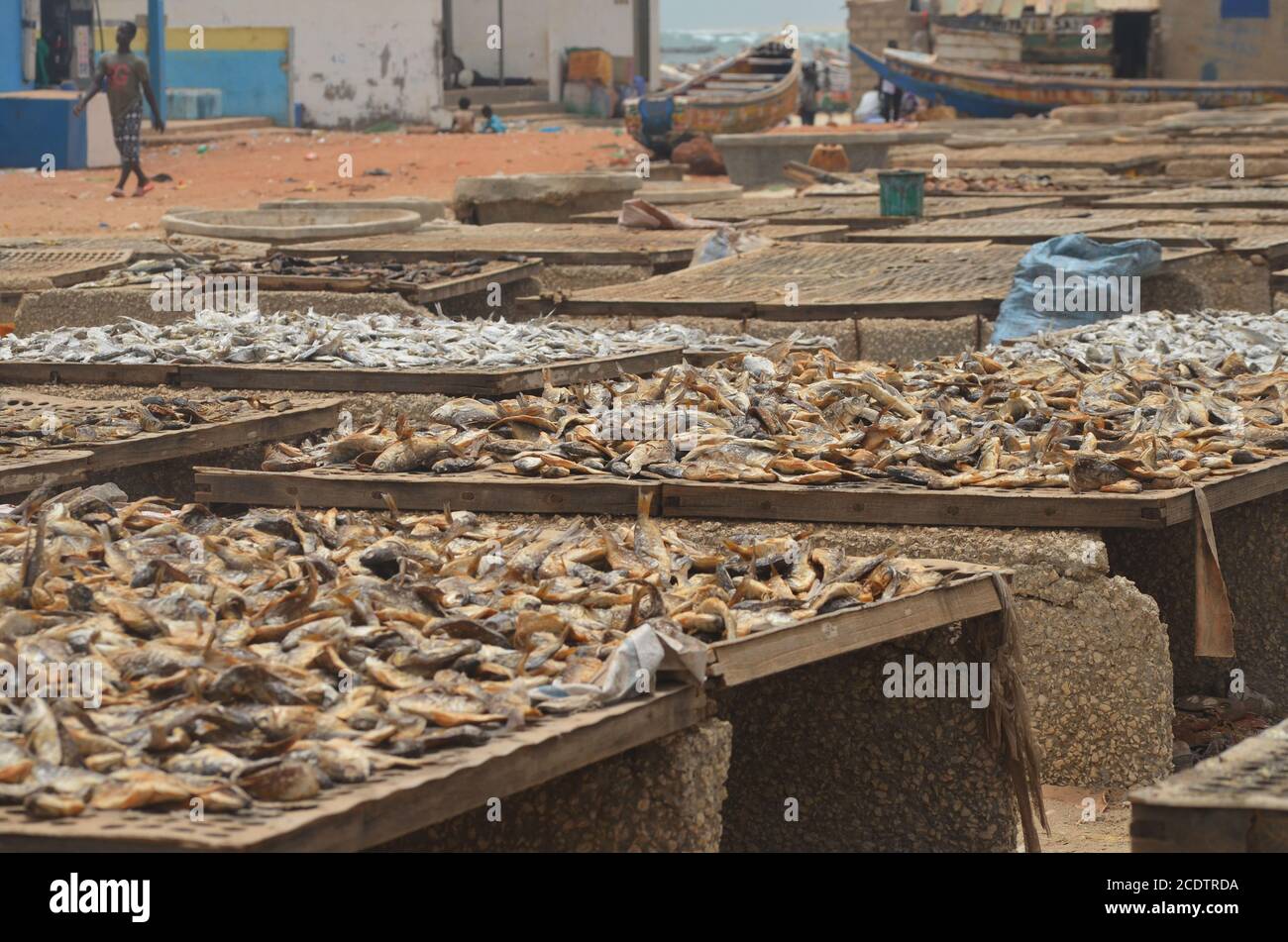 Racks of sun-dried (guédj), salted and/or smoked fish (kétiakh) in ...