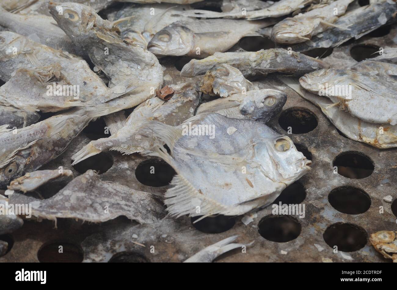 Racks of sun-dried (guédj), salted and/or smoked fish (kétiakh) in ...