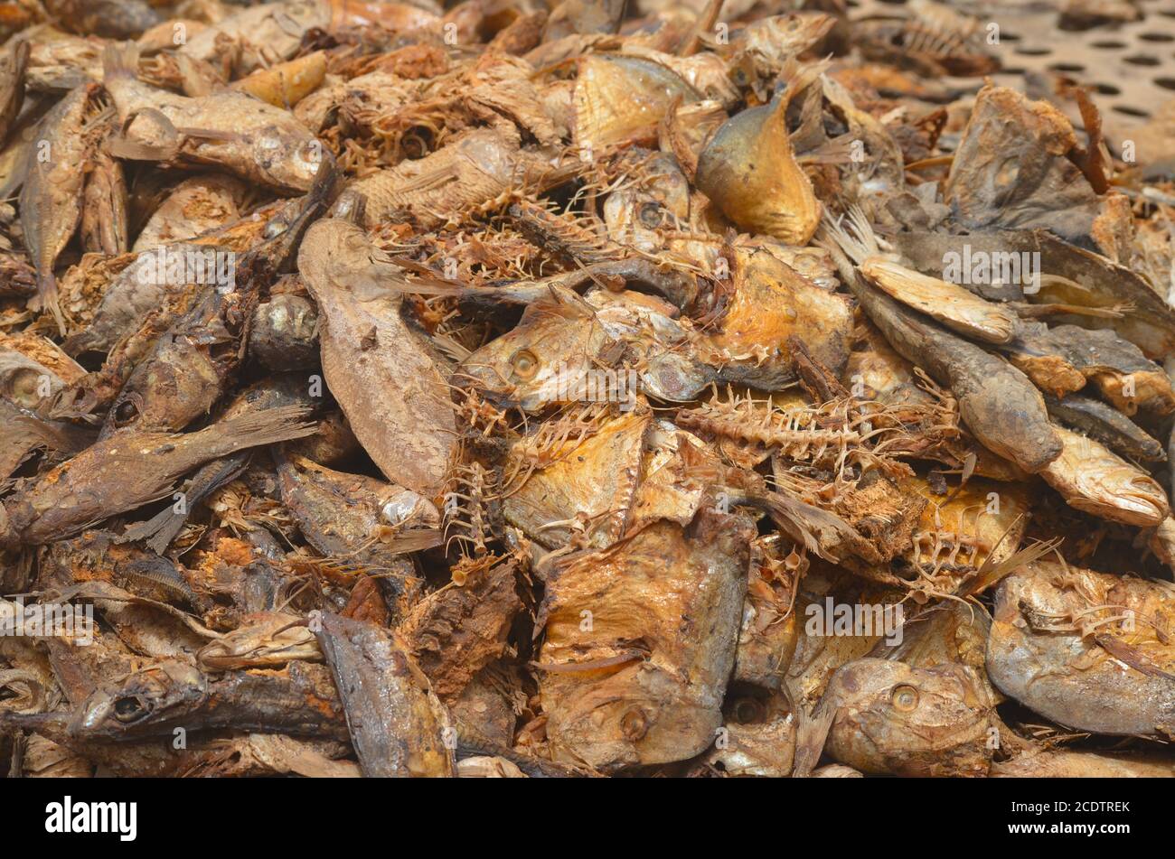 Racks of sun-dried (guédj), salted and/or smoked fish (kétiakh) in ...