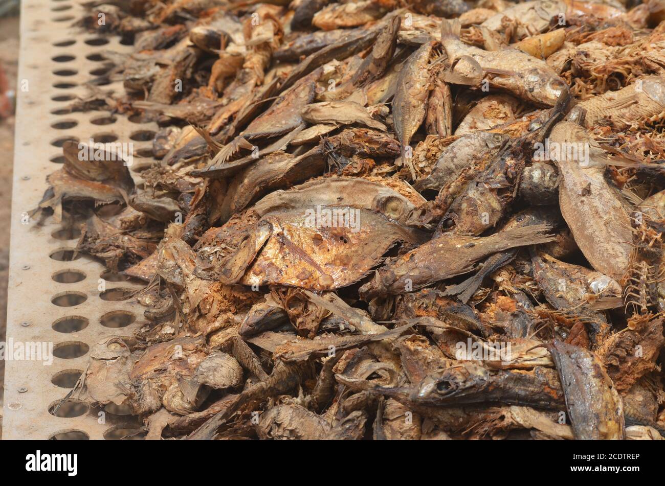 Racks of sun-dried (guédj), salted and/or smoked fish (kétiakh) in ...