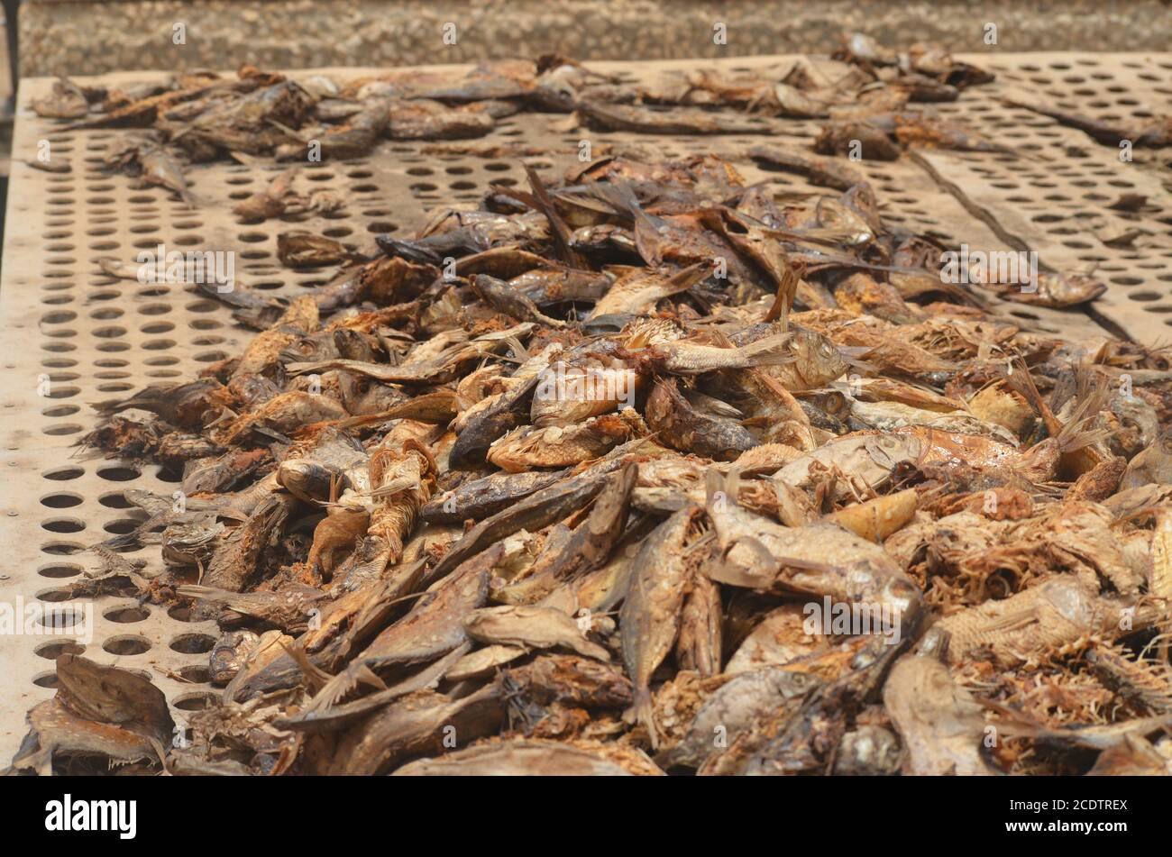 Racks of sun-dried (guédj), salted and/or smoked fish (kétiakh) in ...