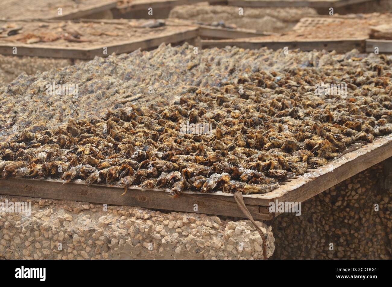 African food smoked fish in hi-res stock photography and images - Alamy