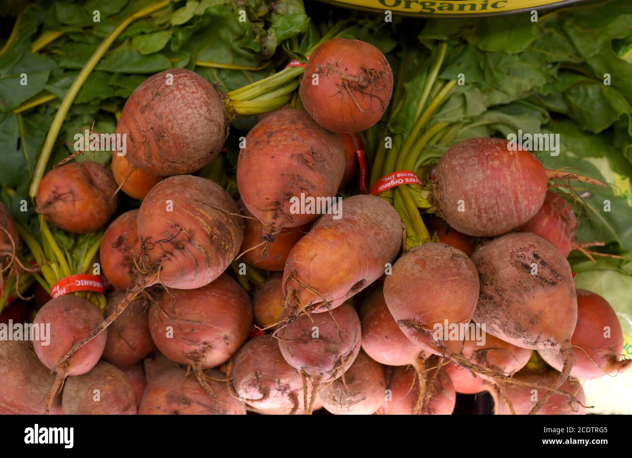 Grocery store beets hi-res stock photography and images - Alamy