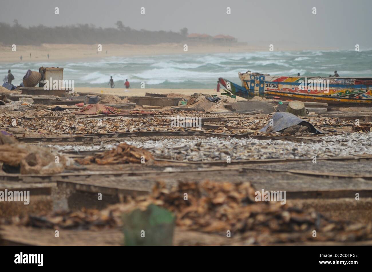 Racks of sun-dried (guédj), salted and/or smoked fish (kétiakh) in ...
