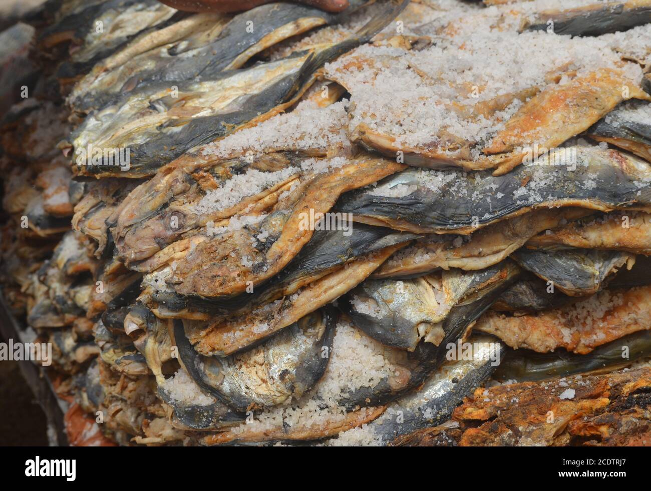 Racks of sun-dried (guédj), salted and/or smoked fish (kétiakh) in ...