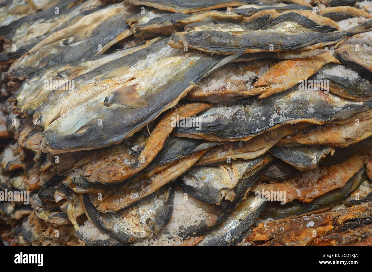 Racks of sun-dried (guédj), salted and/or smoked fish (kétiakh) in ...