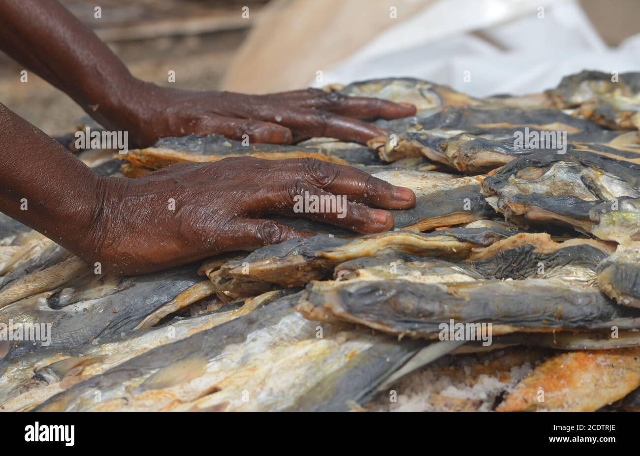 Racks of sun-dried (guédj), salted and/or smoked fish (kétiakh) in ...
