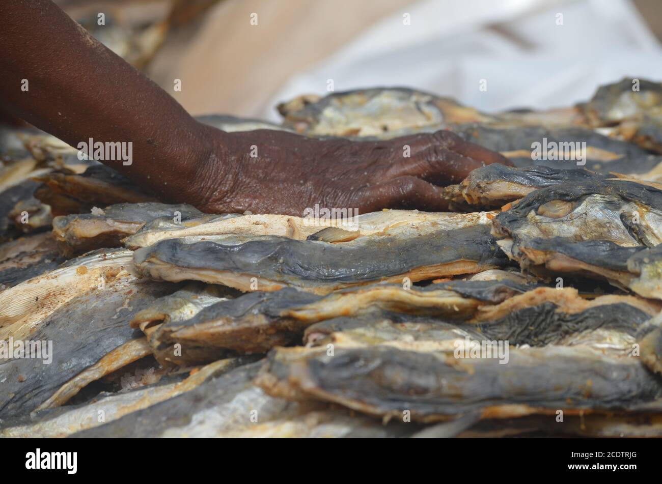 Racks of sun-dried (guédj), salted and/or smoked fish (kétiakh) in ...
