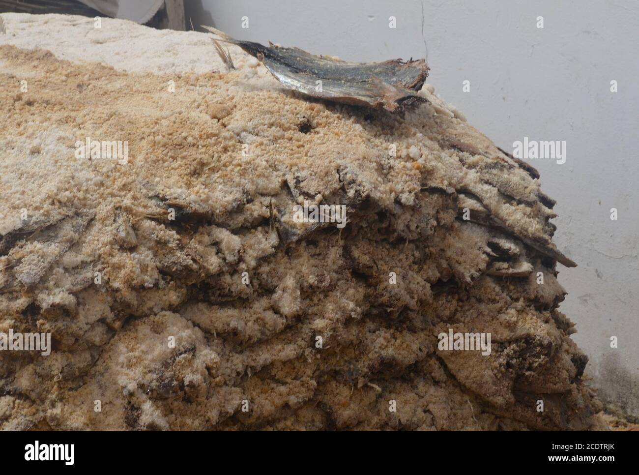 Racks of sun-dried (guédj), salted and/or smoked fish (kétiakh) in ...