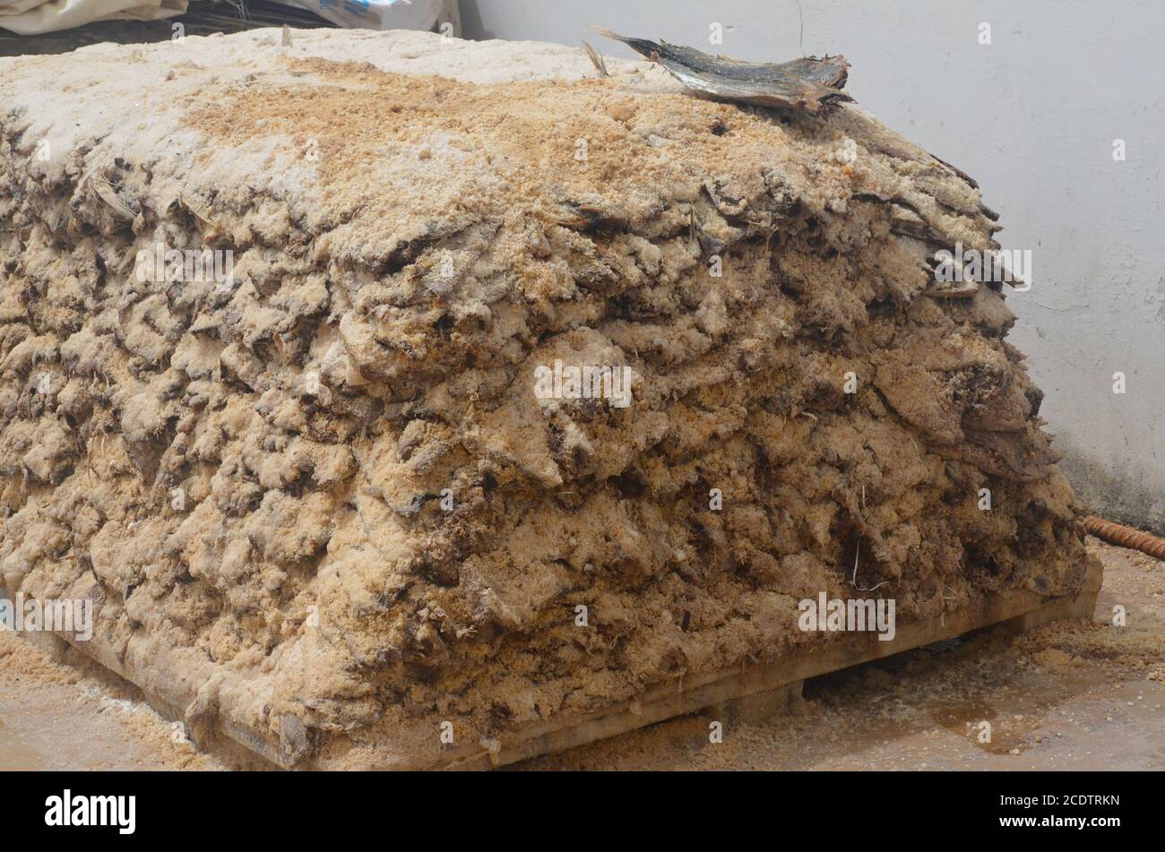 Racks of sun-dried (guédj), salted and/or smoked fish (kétiakh) in ...