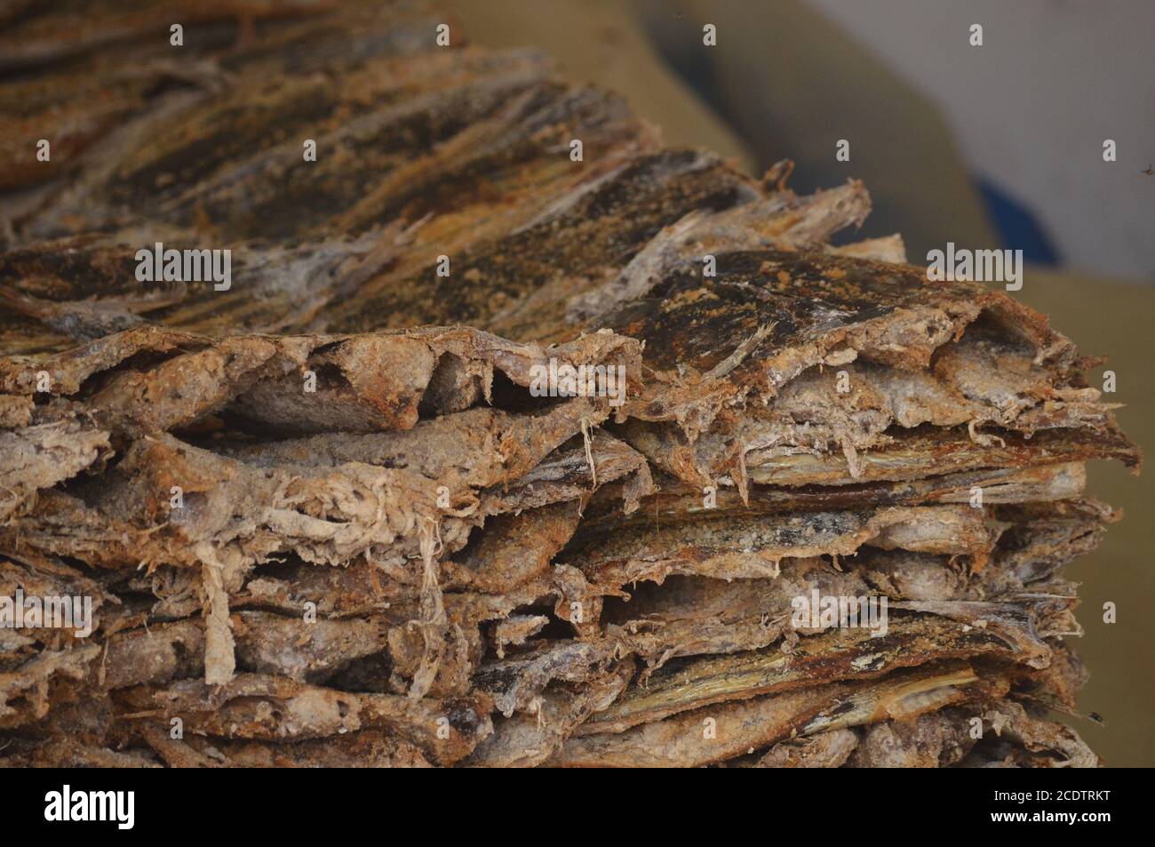 Racks of sun-dried (guédj), salted and/or smoked fish (kétiakh) in ...