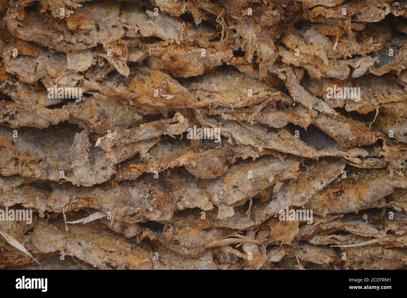 African food smoked fish in hi-res stock photography and images - Alamy