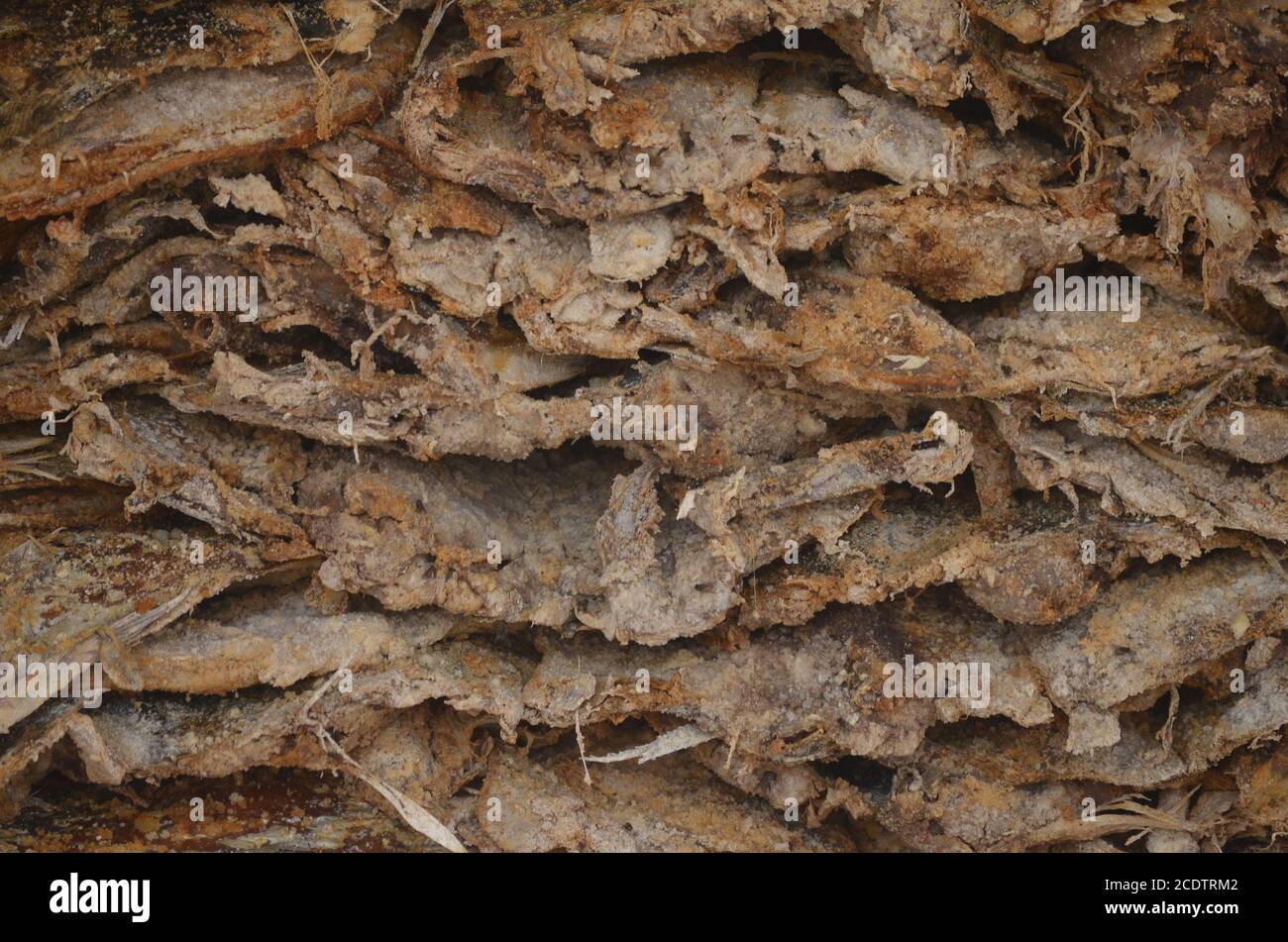 African food smoked fish in hi-res stock photography and images - Alamy